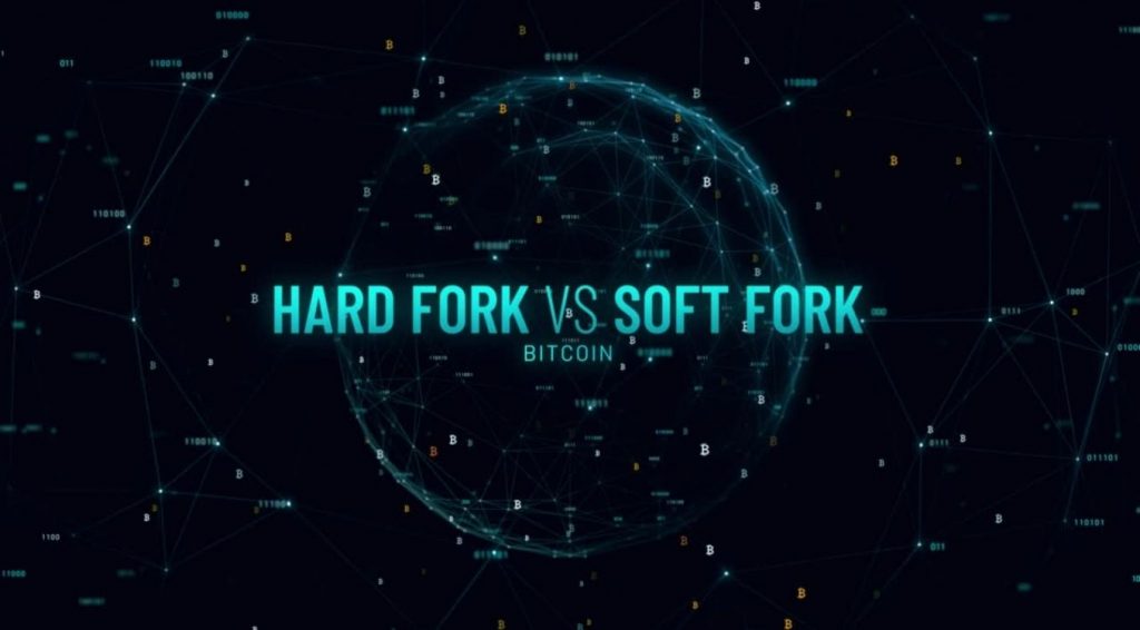Fork là gì? Phân biệt Fork cứng và Fork mềm - BlockchainWork Insider