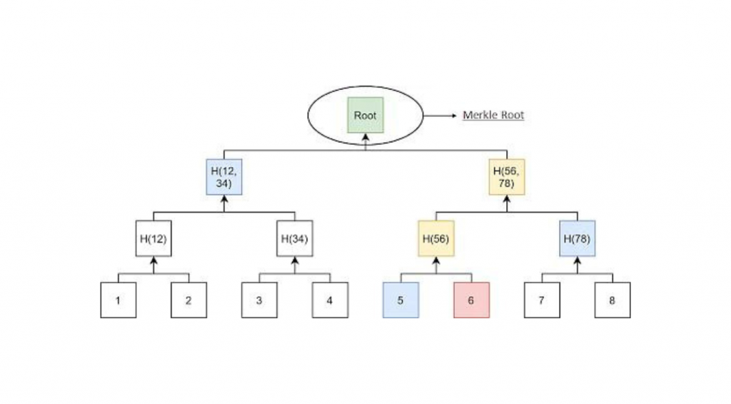 Merkle Tree (Cây Merkle) là gì? - BlockchainWork Insider
